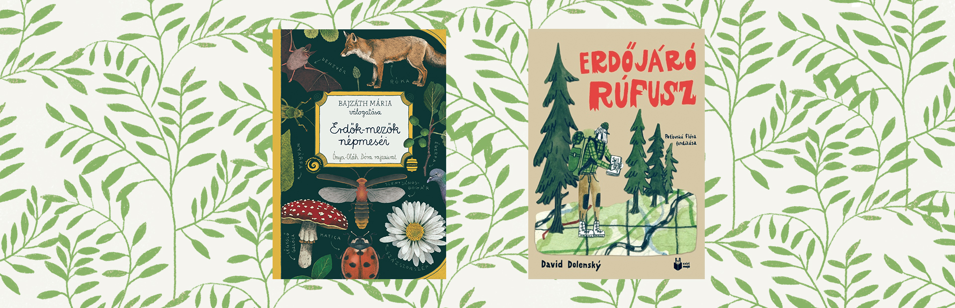 Sokrétű, komplex tudás a természetről - IGYIC